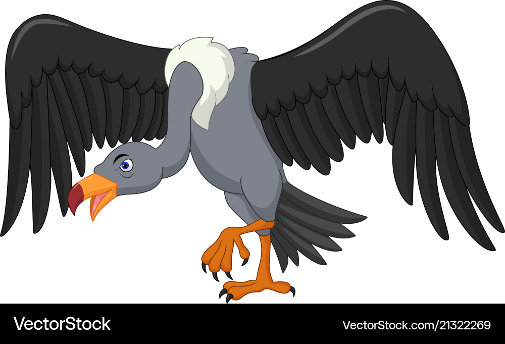 Vulture bird cartoon Royalty Free Vector Image