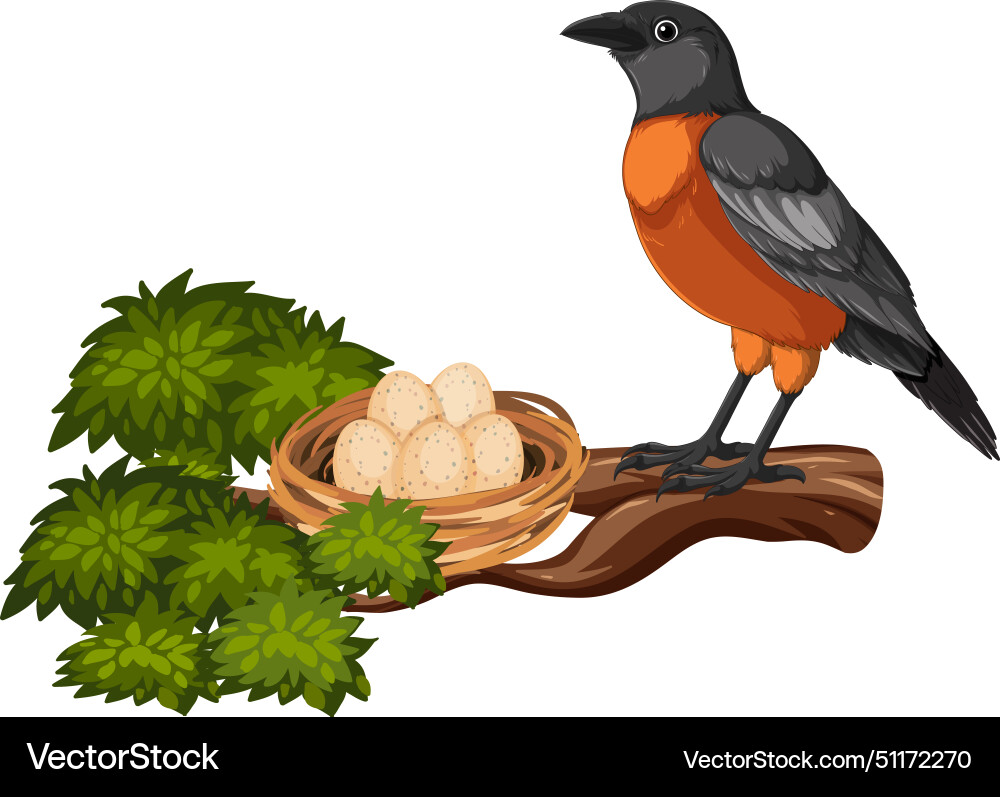 Orange Tree Life Cycle Vector Images Over 200