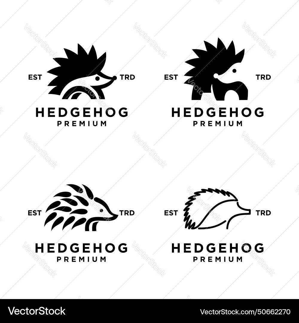 Hedgehog logo icon design Royalty Free Vector Image
