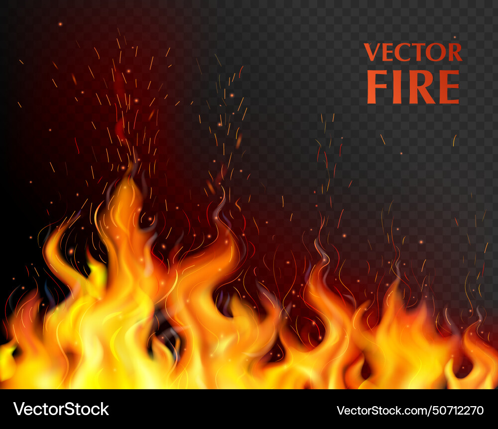 Realistic fire flame background Royalty Free Vector Image