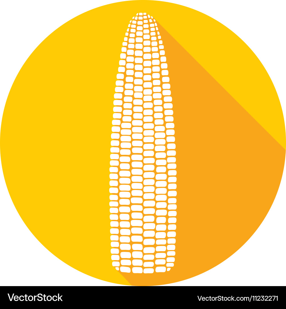 Corn icon Royalty Free Vector Image - VectorStock