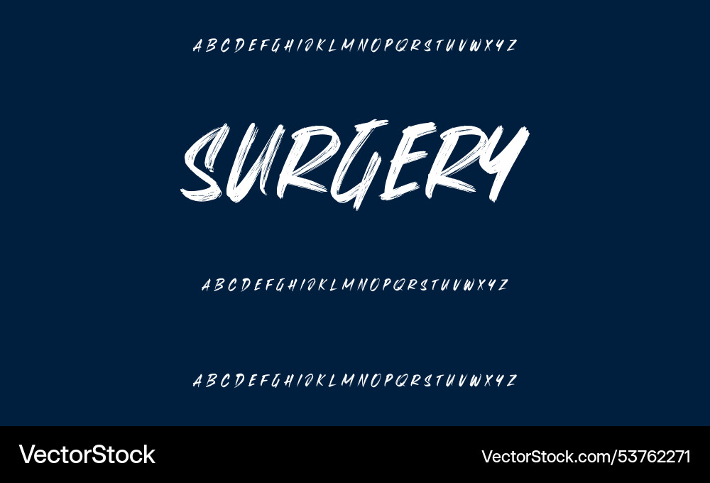 Stylish brush painted an uppercase letters Vector Image