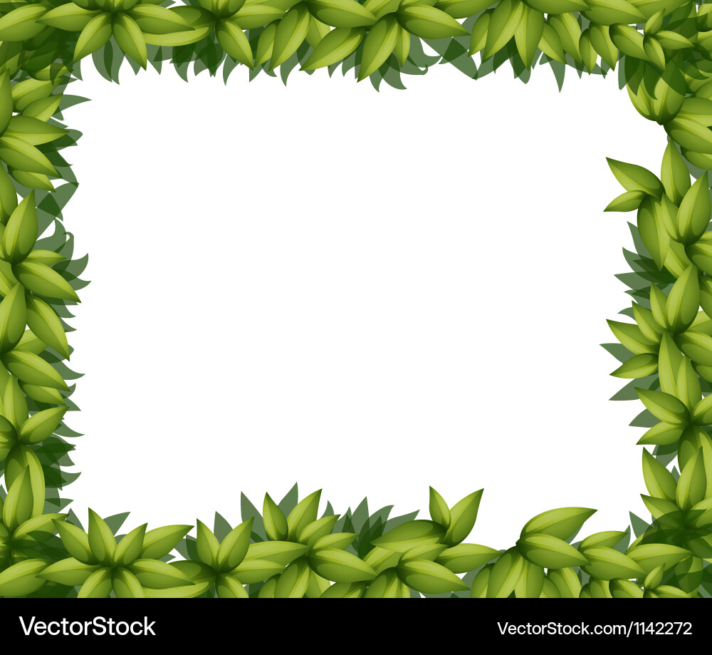 Border made of leaves Royalty Free Vector Image