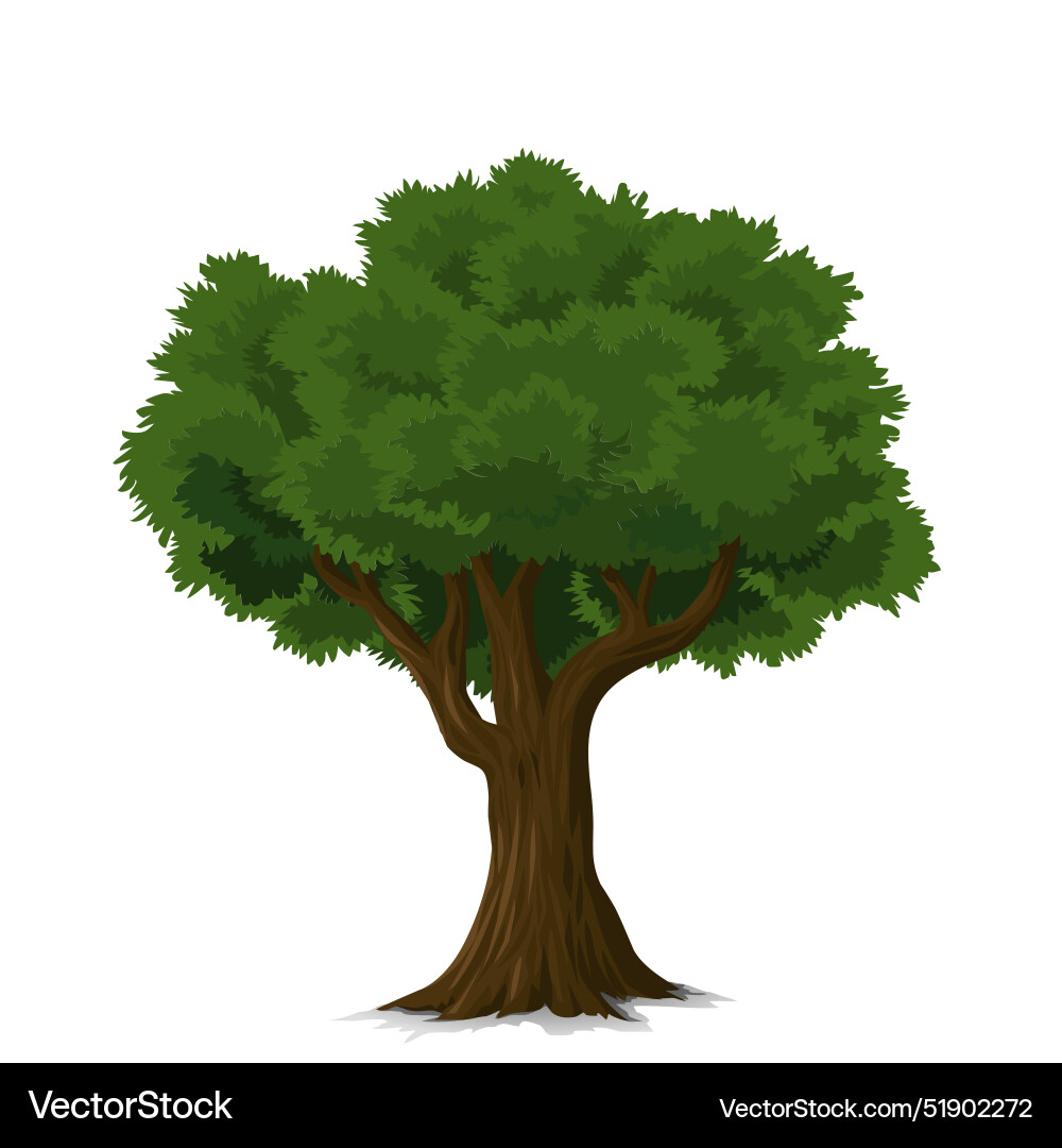 Green tree with roots Royalty Free Vector Image