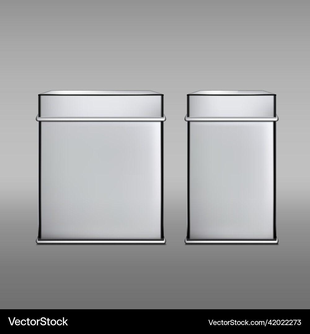 3d rectangle aluminum metal box container package Vector Image