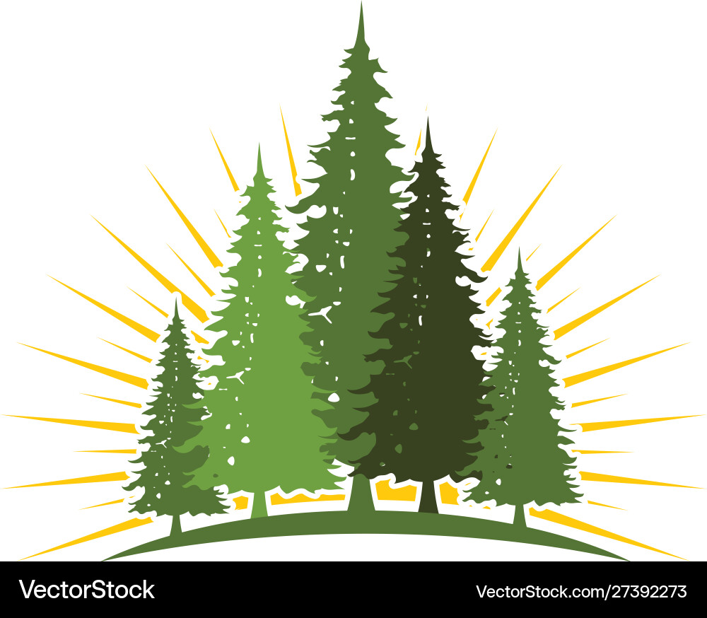 Cedar Tree Icon Set Royalty Free Vector Image - VectorStock