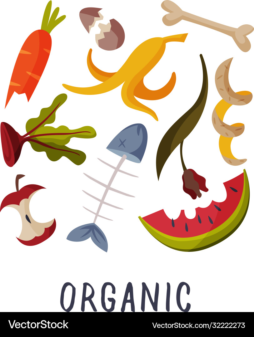 Organic waste garbage sorting segregation Vector Image