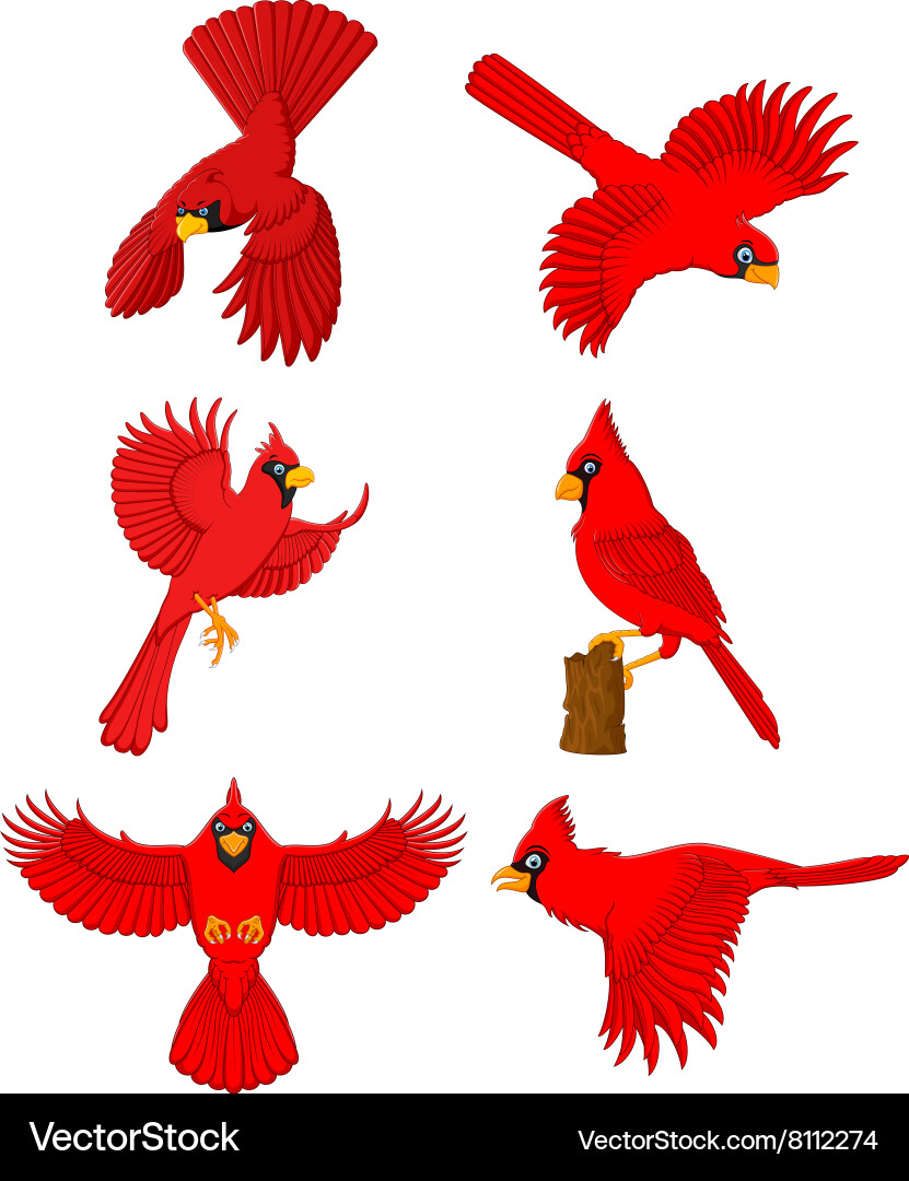 Kardinal Cartoon Set Lizenzfreies Vektorbild