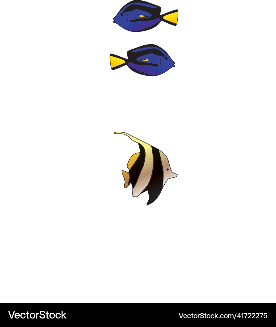 Royal blue tang Royalty Free Vector Image - VectorStock