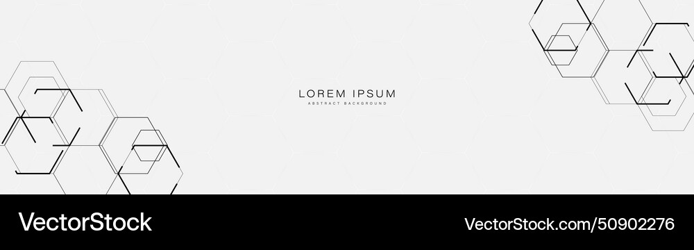 Abstract black hexagon lines texture background Vector Image