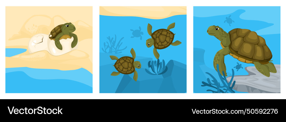 Turtle cycle design concept Royalty Free Vector Image
