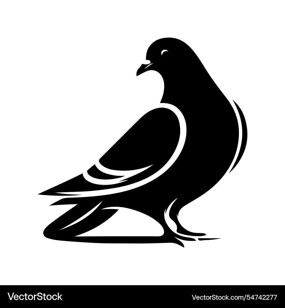 Pigeon silhouette Royalty Free Vector Image - VectorStock