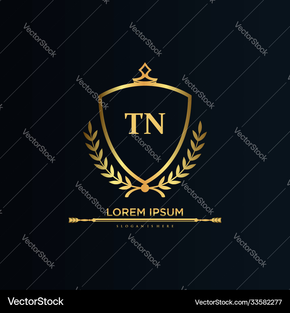 Tn letter initial with royal templateelegant Vector Image