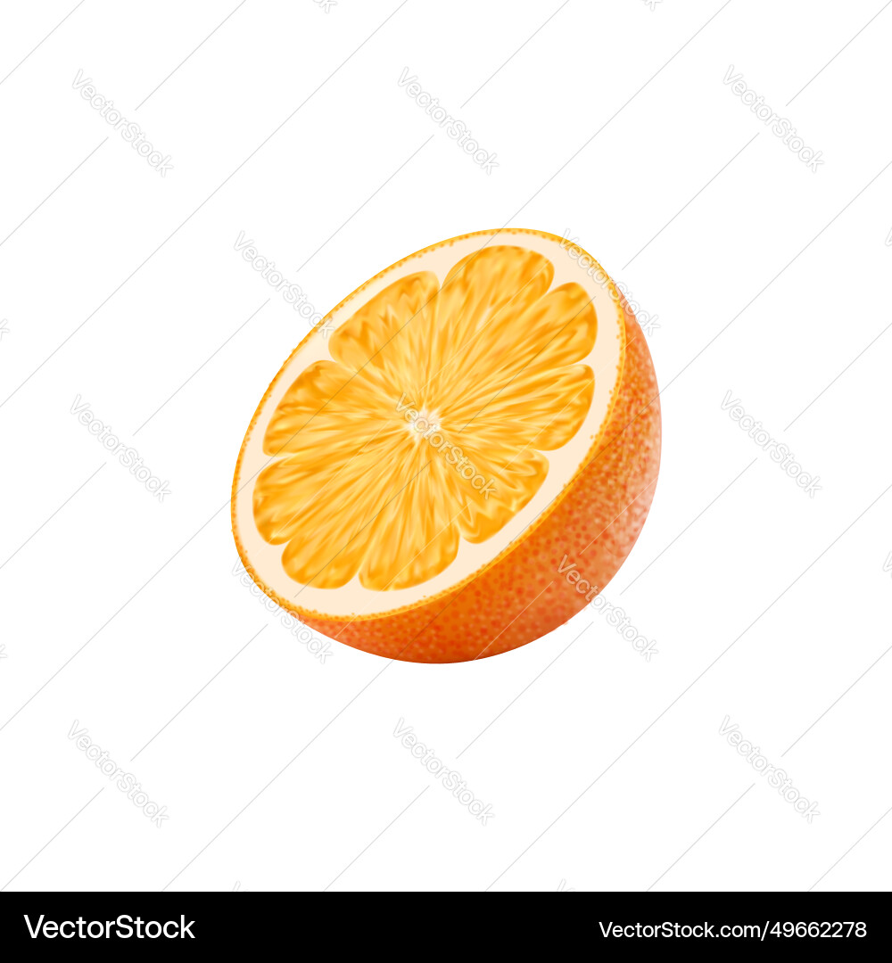 Realistic ripe orange citrus fruit in half cut Vector Image