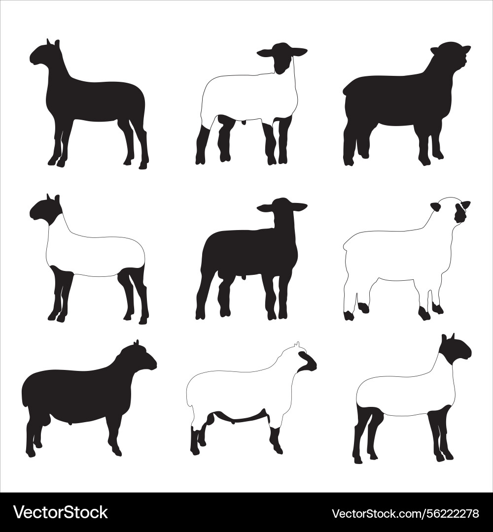 Show sheep svg lamb outline Royalty Free Vector Image