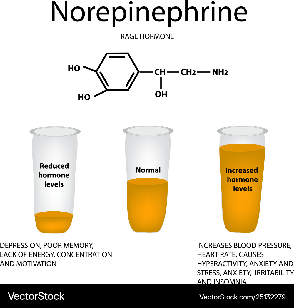 Norepinephrine Chemical Formula Neurotransmitters: Types, Function And