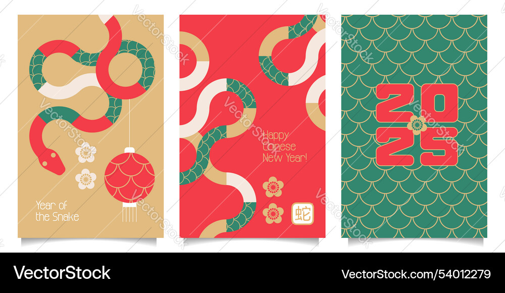 Chinese new year 2025 modern card design set Vector Image
