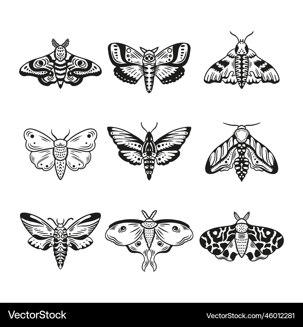 Hand drawn celestial moth collection Royalty Free Vector