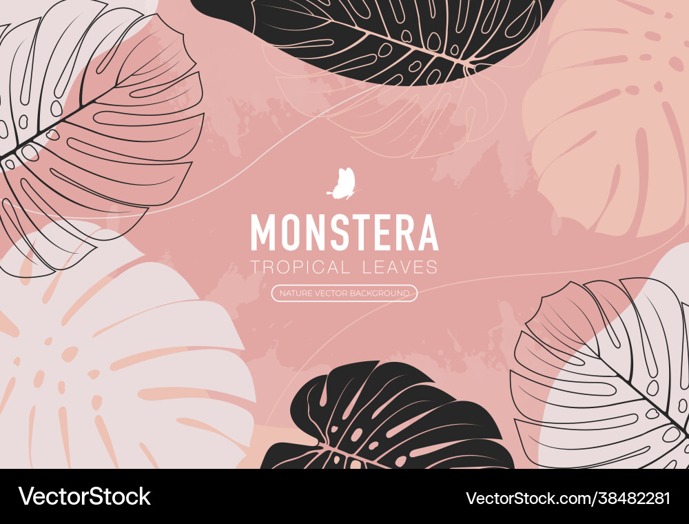Tropical frame design with monstera leaves Vector Image