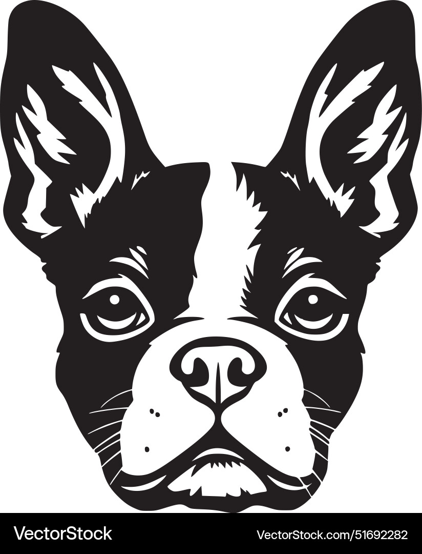 Boston terrier - high quality logo ideal Vector Image