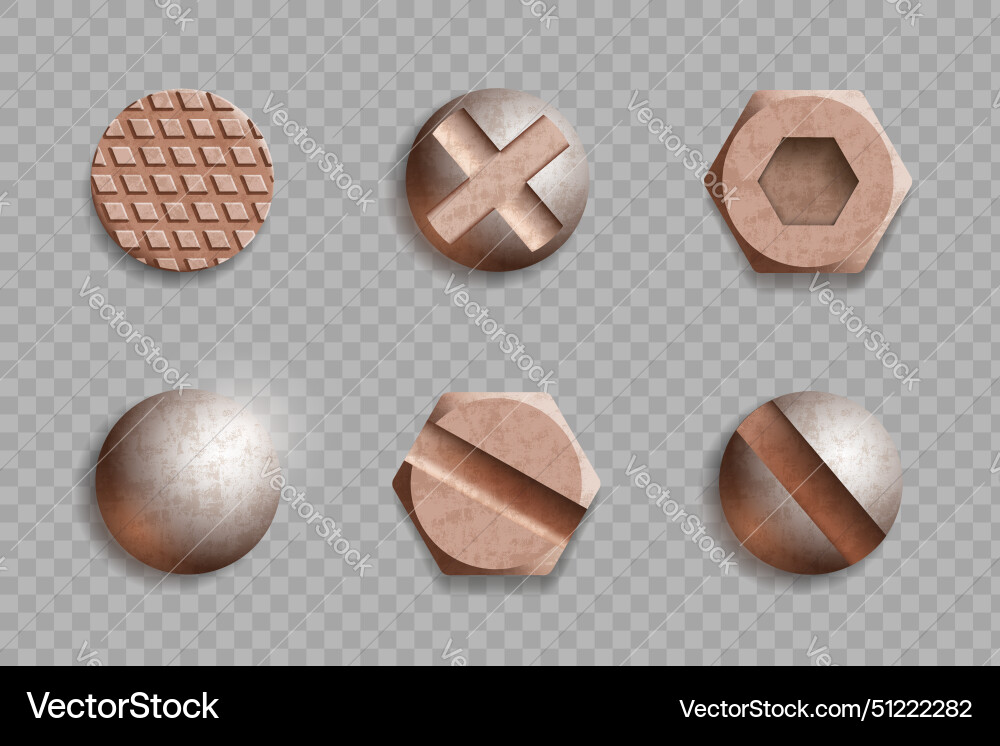 Rusty screw heads nails bolts Royalty Free Vector Image