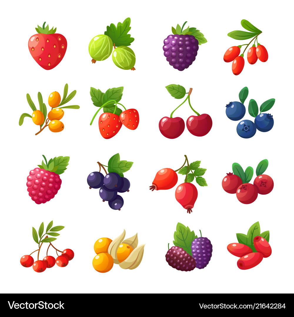 Colorful Berry Fruits Royalty Free Vector Image
