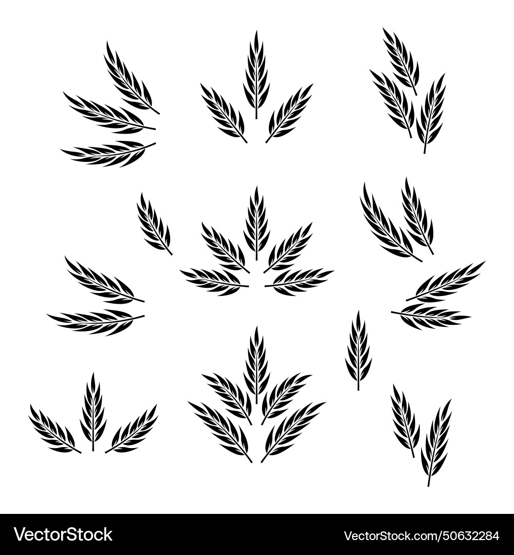 Flat agriculture wheat cereal ear icon set Vector Image