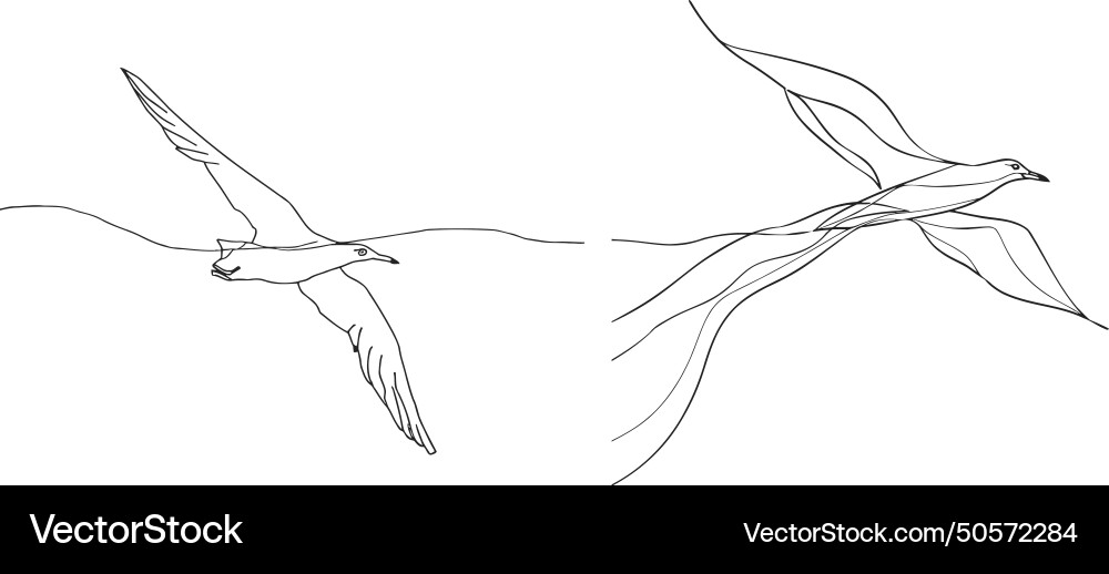 Seagull in the sky continuous line drawing Vector Image