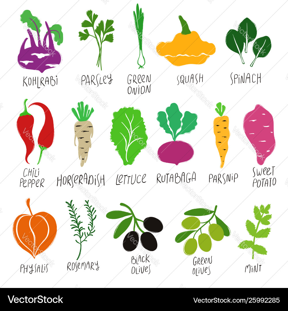 Colorful Vegetable Icons Royalty Free Vector Image