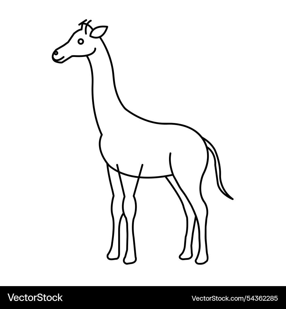 Cute giraffe Royalty Free Vector Image - VectorStock