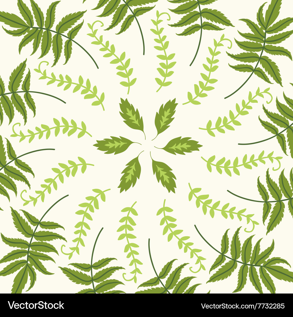 Round pattern with green leaves on a white Vector Image