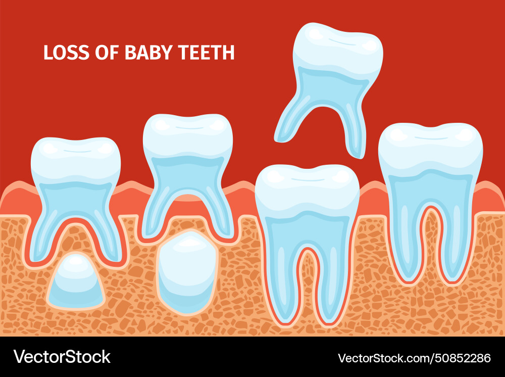 Baby teeth loss background Royalty Free Vector Image