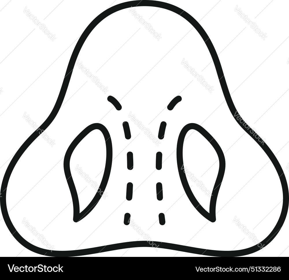 Cartoon nose line art Royalty Free Vector Image