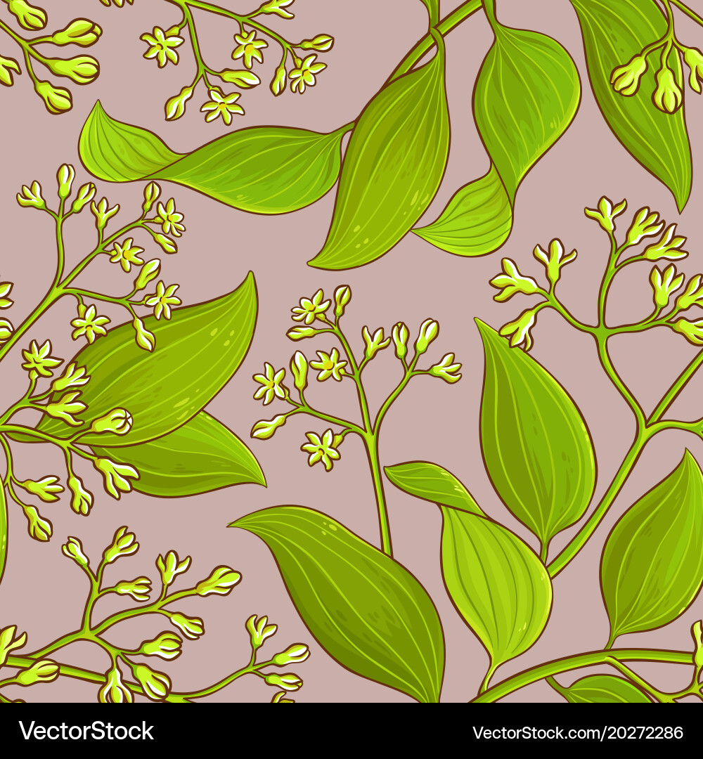 Cinnamon Branch Pattern Royalty Free Vector Image