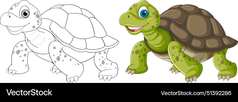 Colorful and outlined turtle side Royalty Free Vector Image