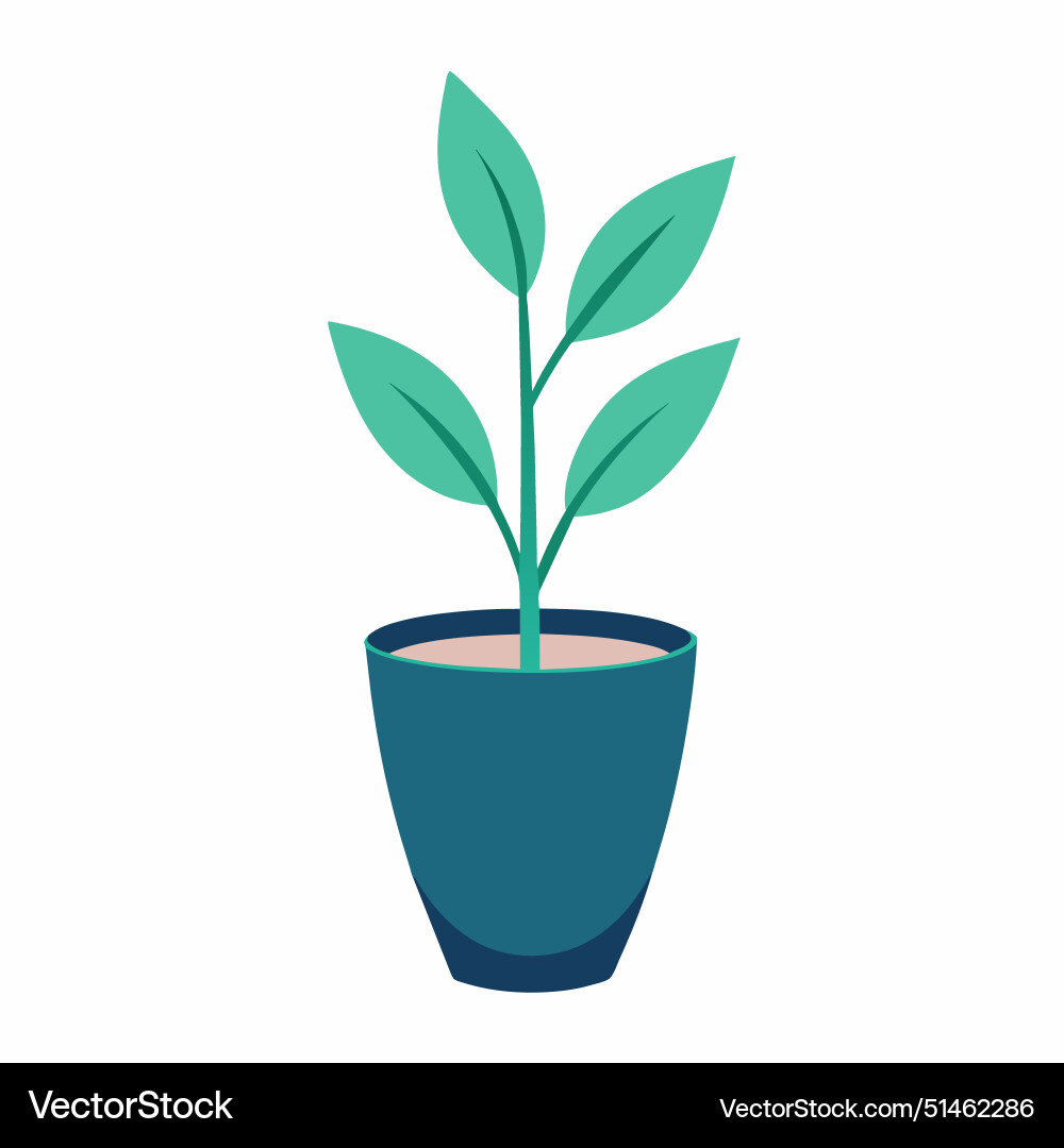 Single elegant houseplant in modern ceramic pot Vector Image