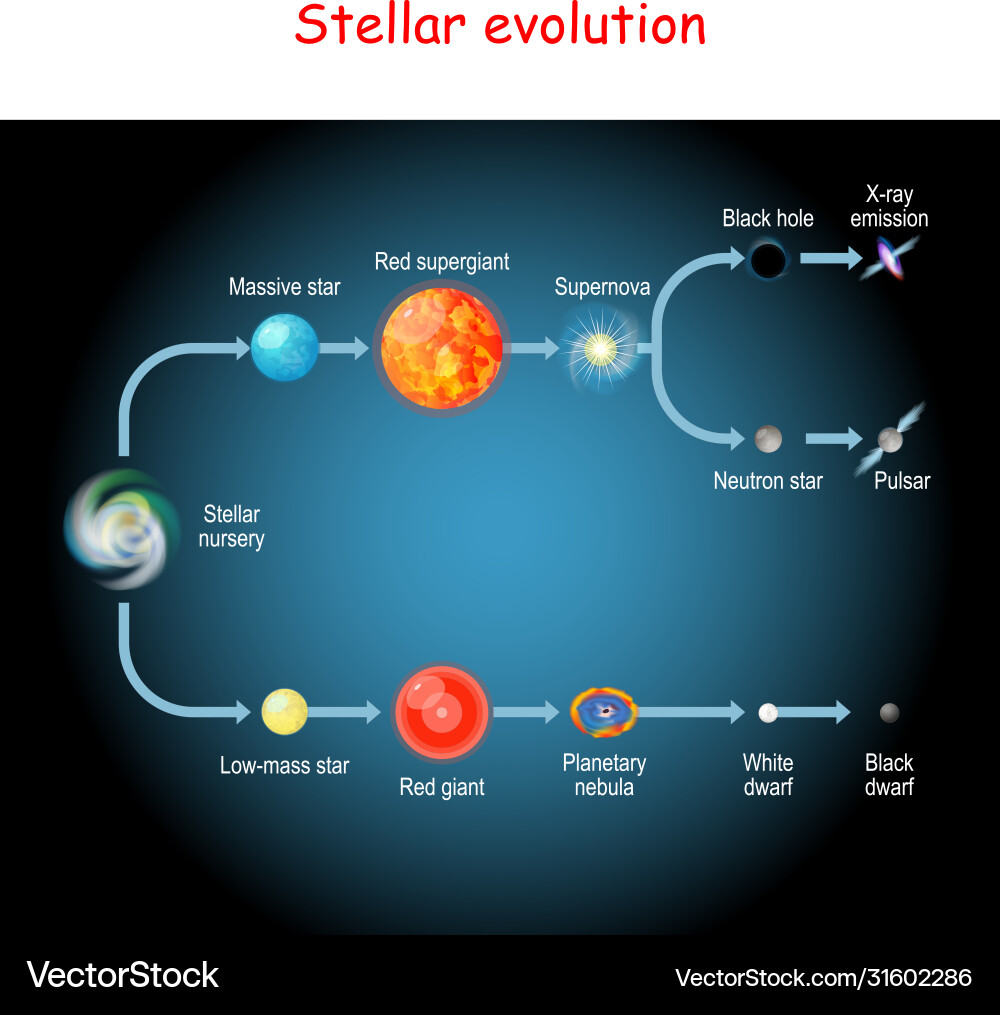 Star Life Cycle Model Buy Life Cycle Of A Star Learning Board