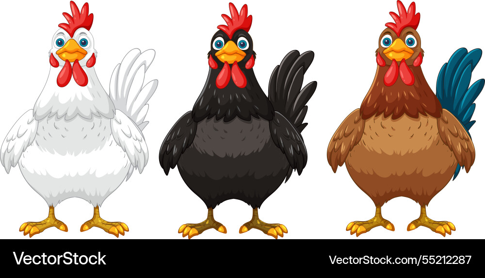 Three Cartoon Chickens Royalty Free Vector Image