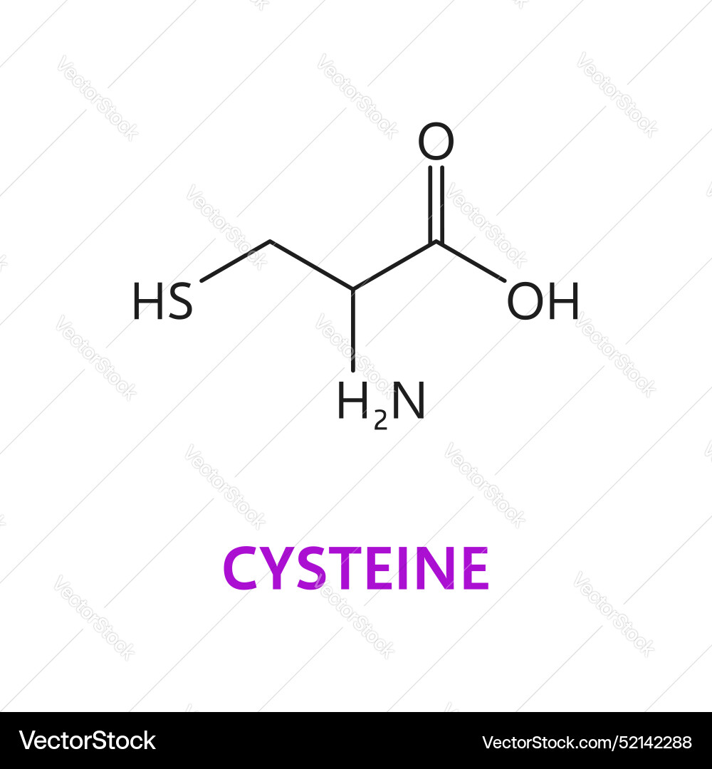 Cysteine amino acid chemical molecule structure Vector Image