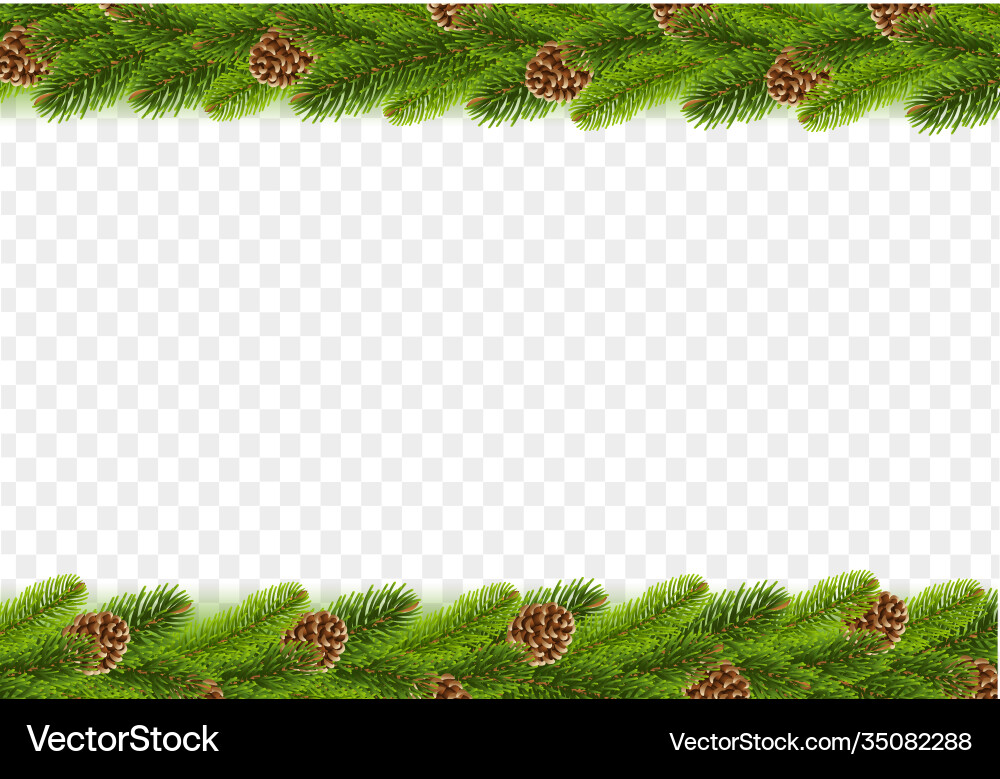 Spruce branches with cones border Royalty Free Vector Image