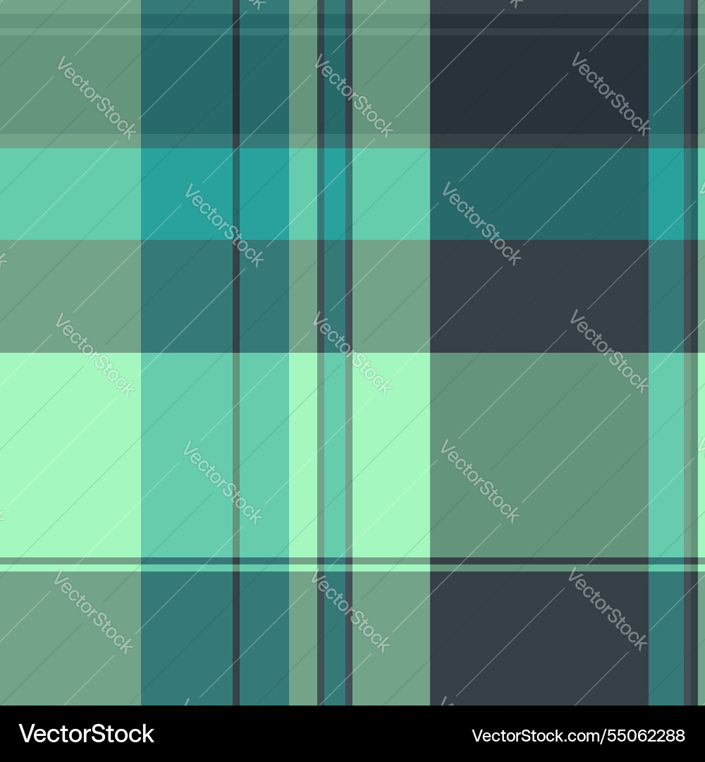 Stylish teal and mint green plaid pattern perfect Vector Image
