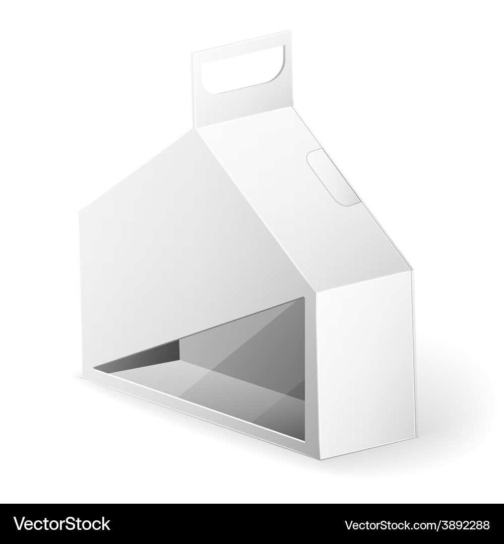 White product package box mock up template Vector Image