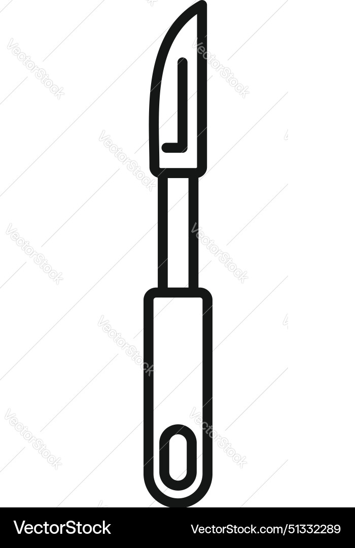 A kitchen knife Royalty Free Vector Image - VectorStock