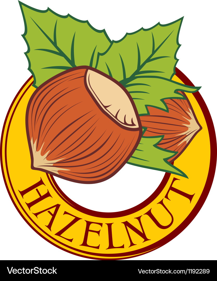 Hazelnut label Royalty Free Vector Image - VectorStock