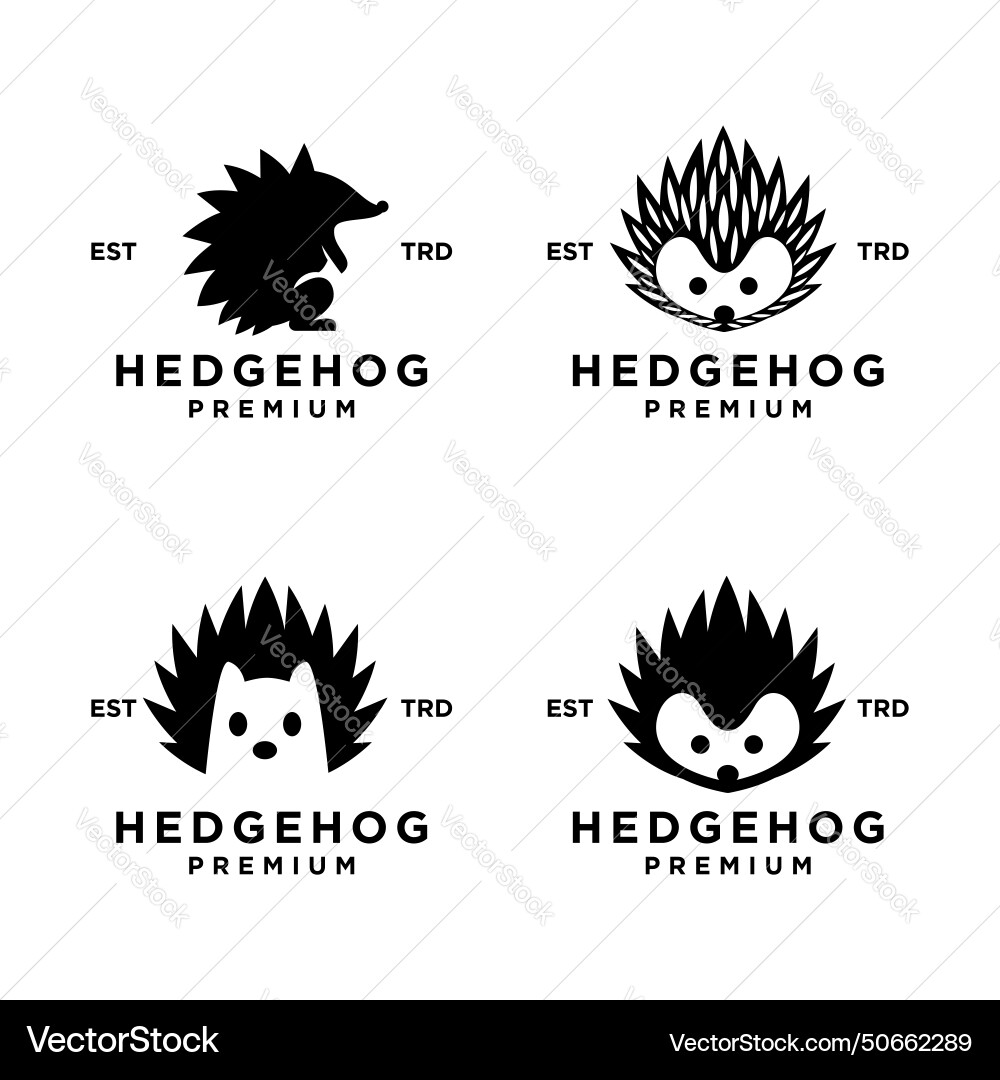 Hedgehog logo icon design Royalty Free Vector Image