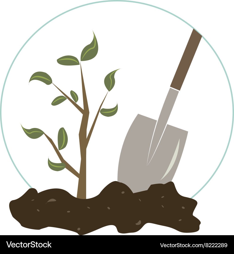 Tree planting Royalty Free Vector Image - VectorStock