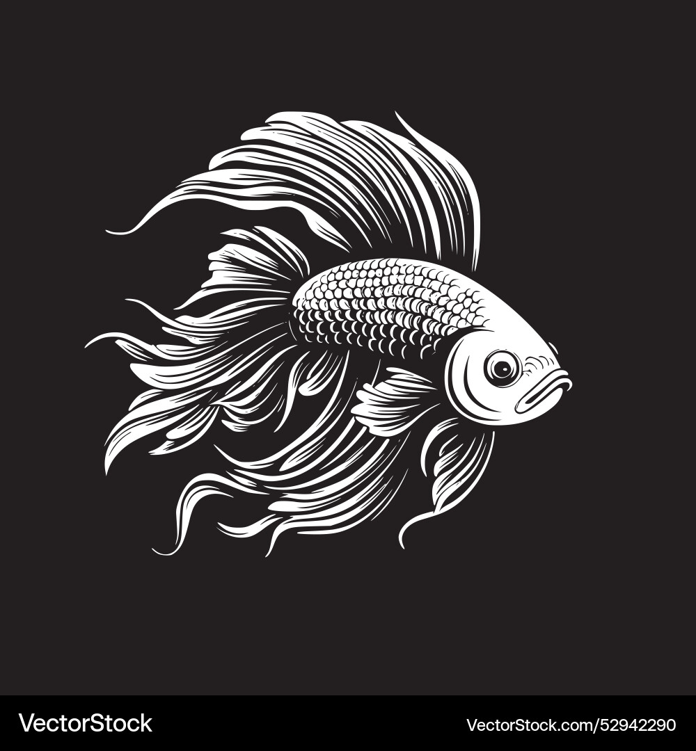 Betta fish - black and white isolated icon Vector Image