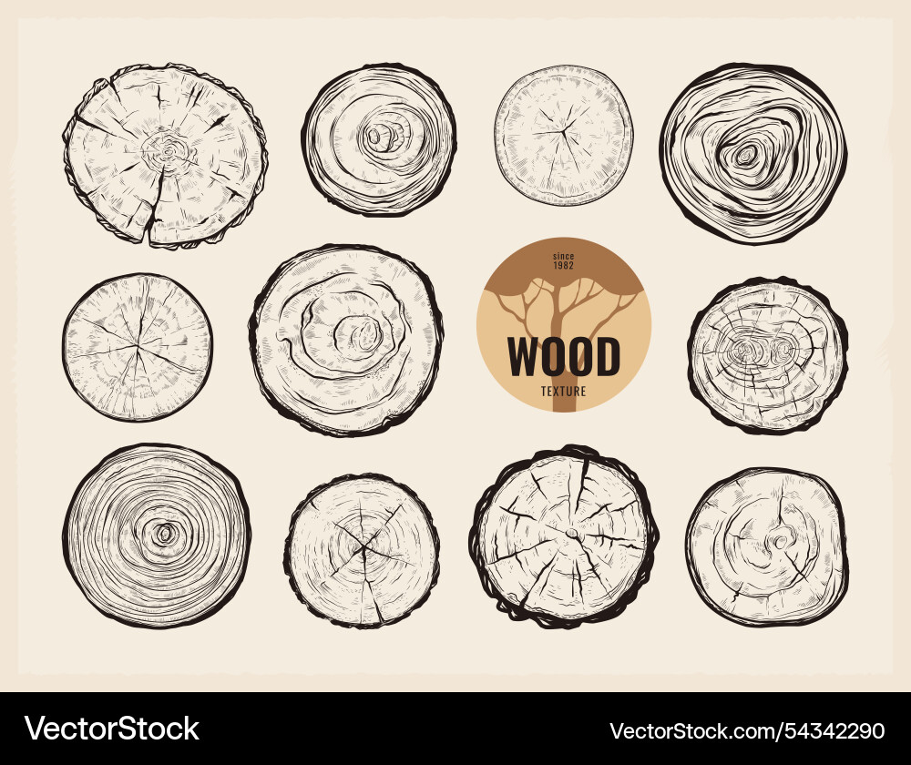 Wood Grain Tree Rings Royalty Free Vector Image
