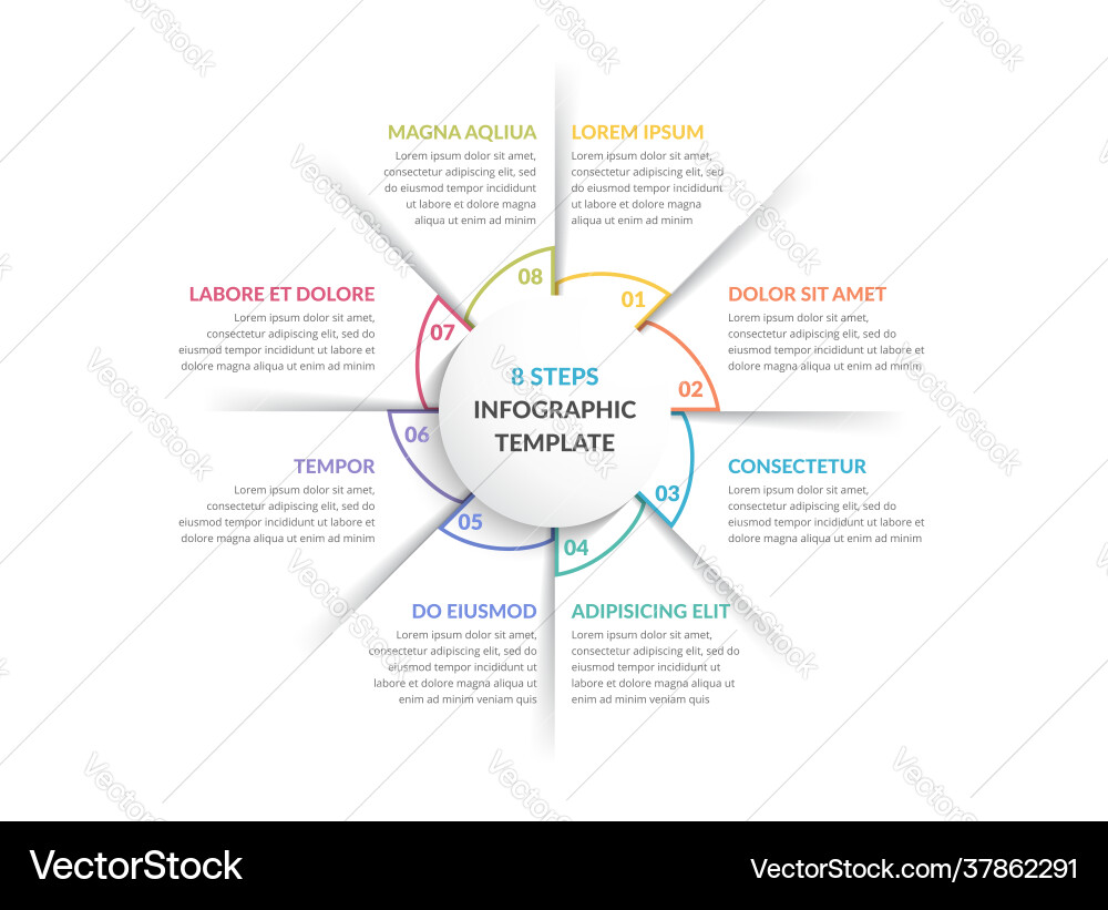 Circle infographics - eight elements Royalty Free Vector