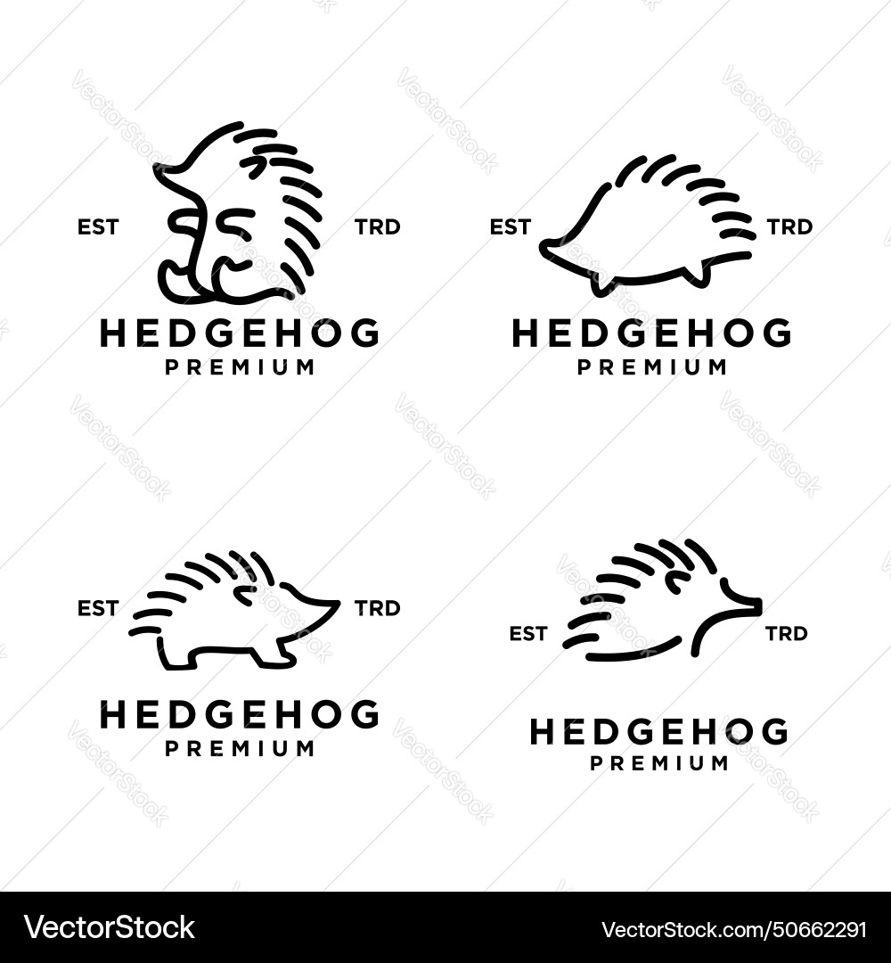 Hedgehog logo icon design Royalty Free Vector Image